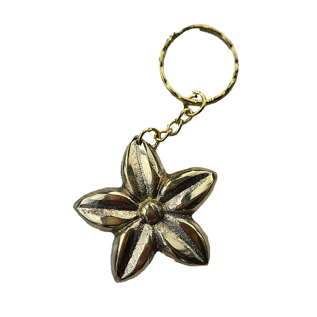 Bali Addiction Frangipani Brass Key Ring - Krystal Waters – Krystal ...